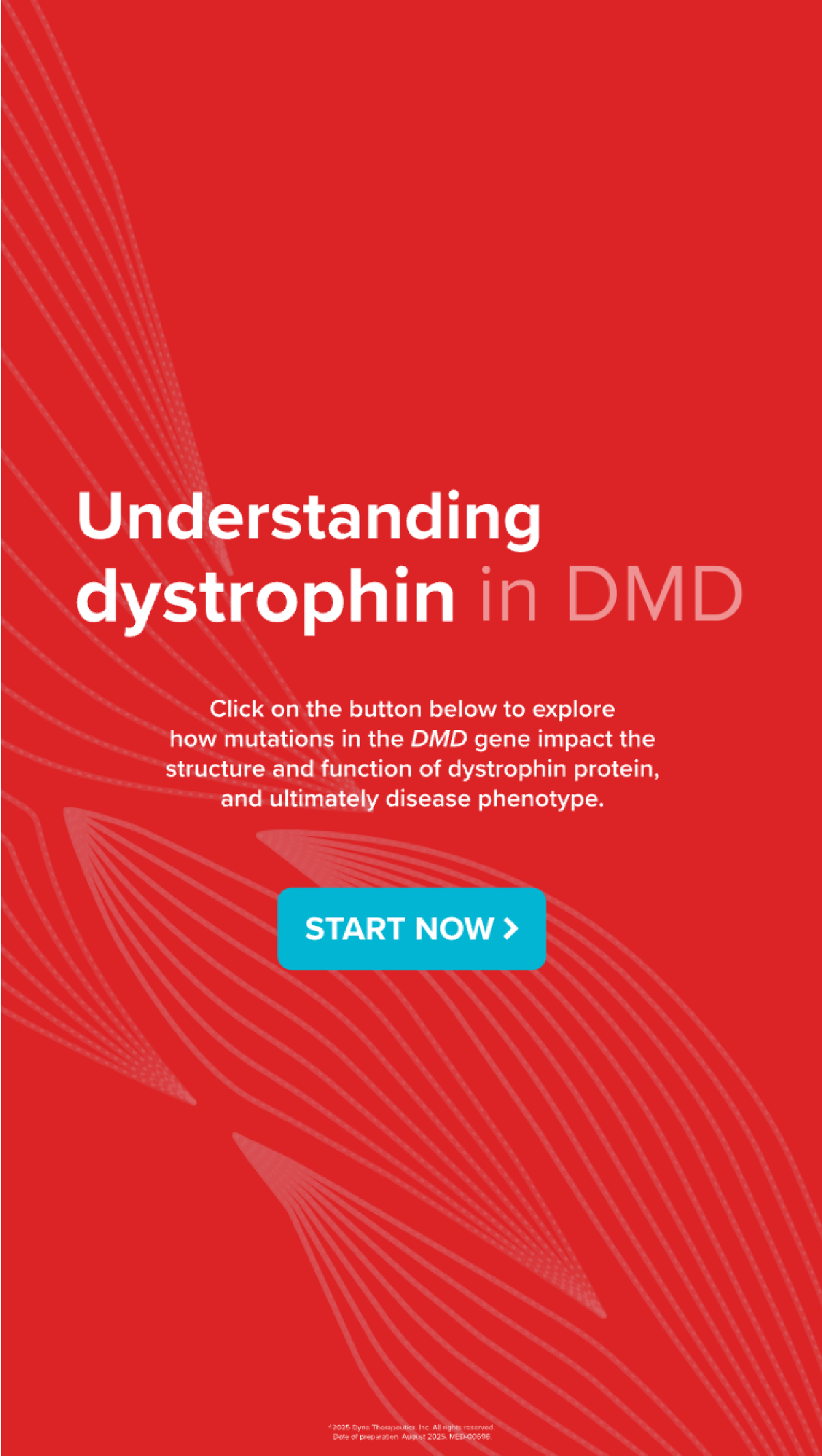 Understanding Duchenne Muscular Dystrophy (DMD) | Dyne – Dyne Medical ...